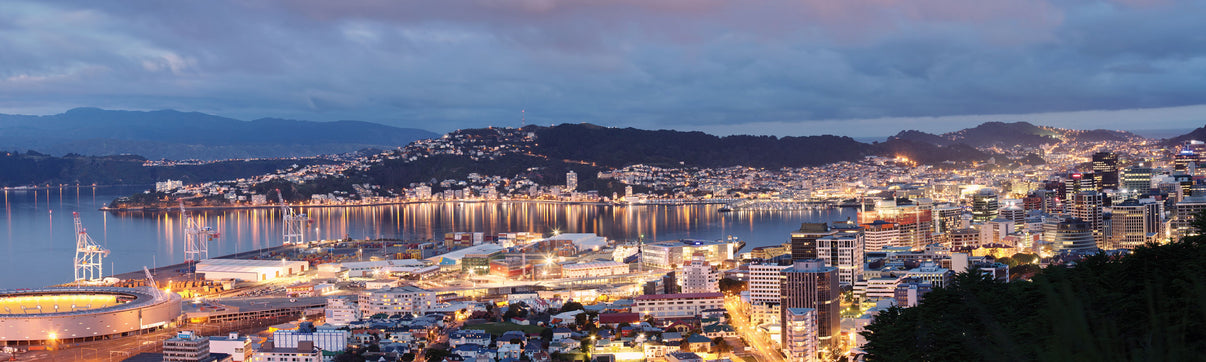 Wellington City Dusk - Shane Crowe – Art for Arts Sake